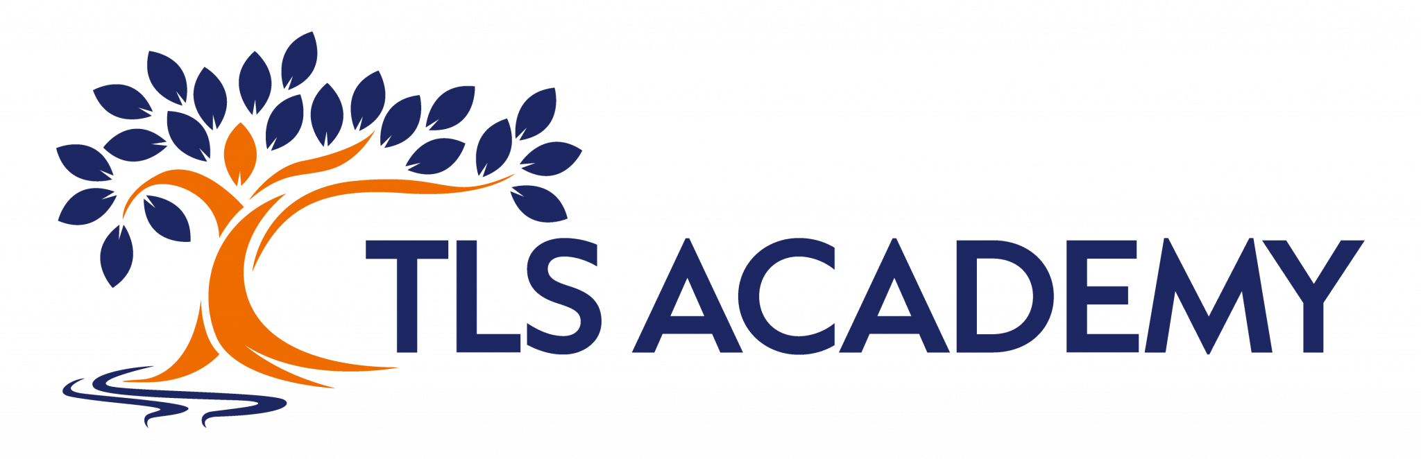 Private Primary & Secondary Academy School In Singapore